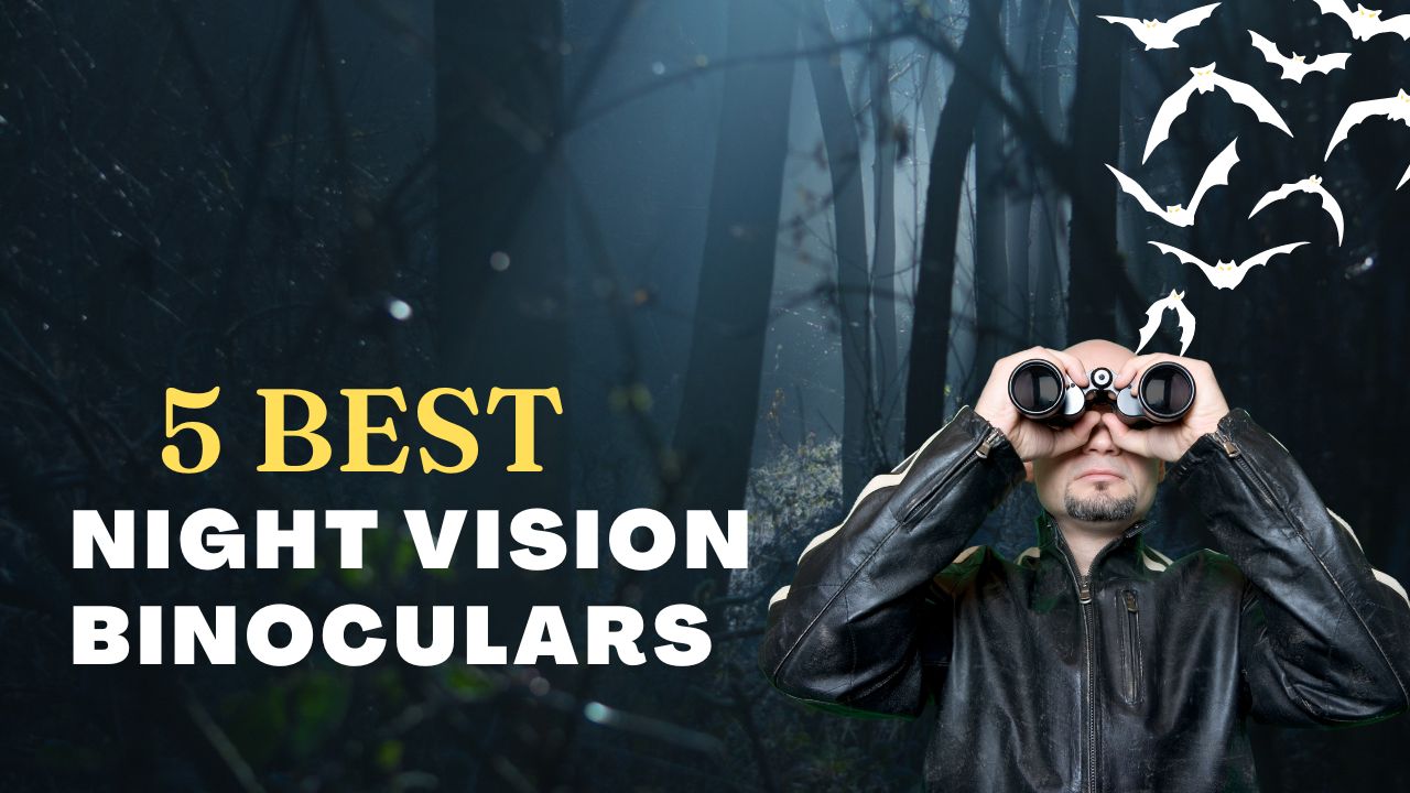5 Best Night Vision Binoculars for Camping, Hiking & Hunting - TechReviewly